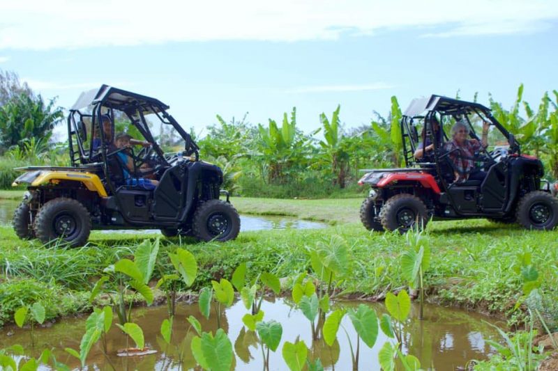 Explore Hawaii’s Rich Cultural Landscape on a UTV Farm Tour (2.5 hours ...