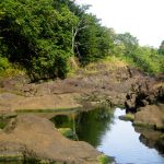 Hilo + Puna Travel Guide | Big Island | Hawaii