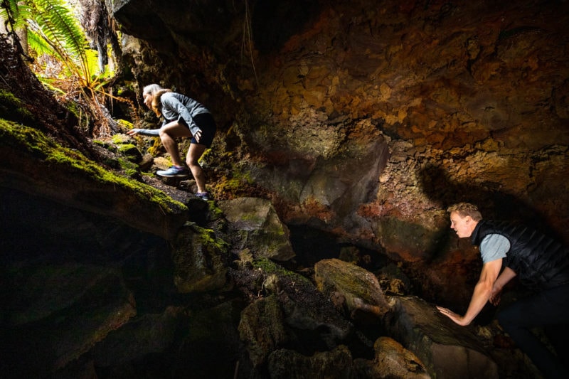 Hidden Crater Hike (Cloud Forests and Lava Tube Tour: 5 hours, $179)