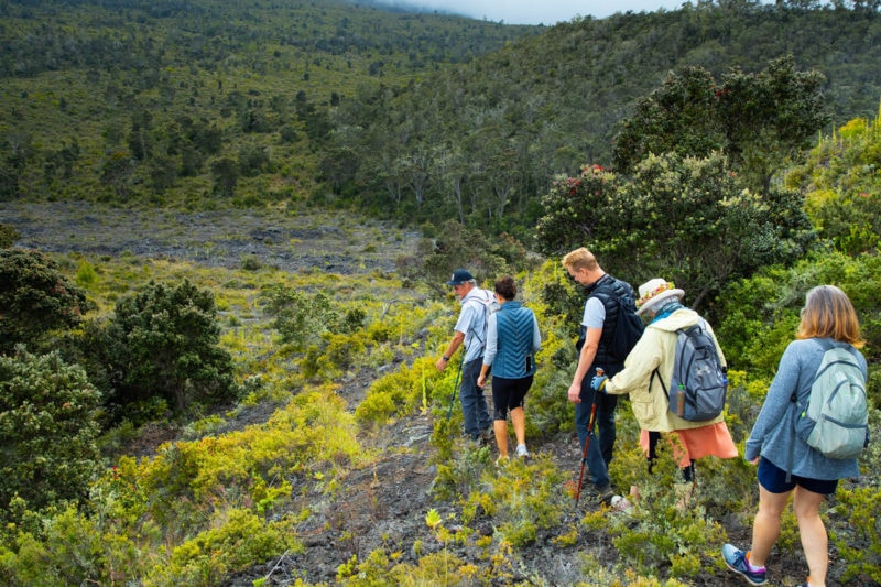 Hidden Crater Hike (Cloud Forests and Lava Tube Tour: 5 hours, $179)