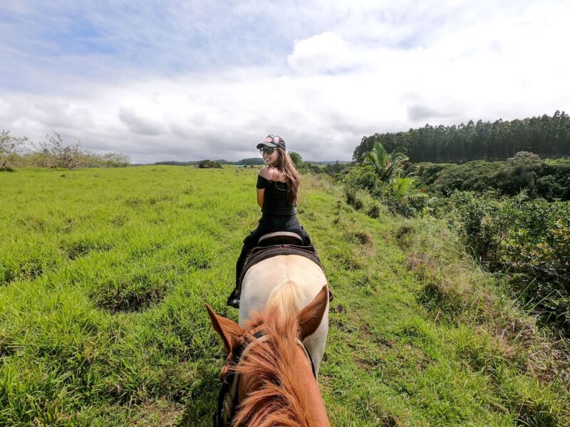 Horseback Ride + Waterfall Swim (Hilo side) (2.5 hours, $150)