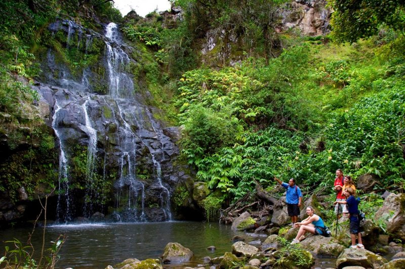 Kohala Waterfall and Rainforest Adventure (8 hours, from $249)