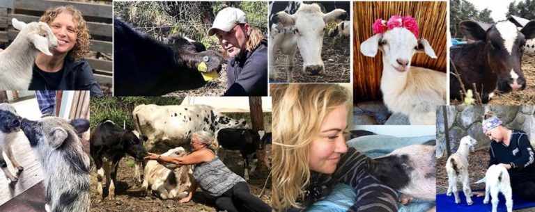 BIG LIST of Farm Tours on the Big Island of Hawaiʻi