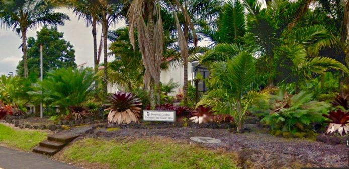 Best Botanical Gardens on the Big Island: List, Map + Descriptions