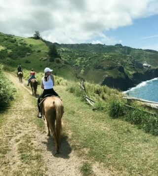 All Maui Horseback Riding Tours (w/prices, updated for 2025)