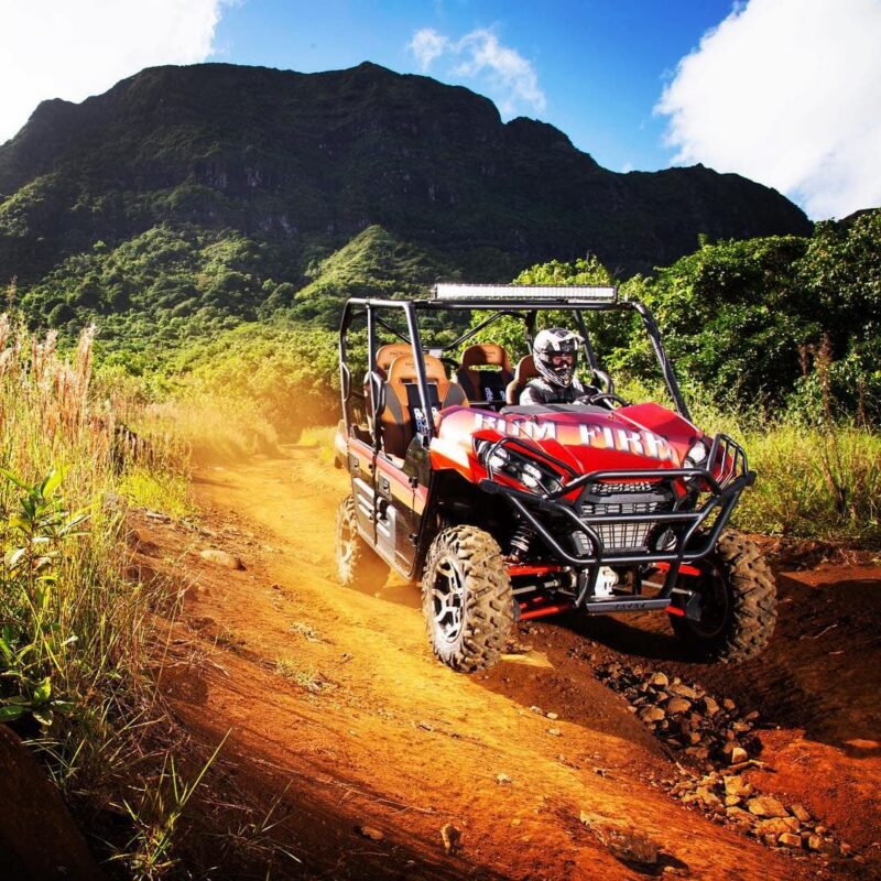 Ultimate Kauai Off-Road Ranch Tour (3.5 hours, $187)