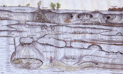 Big Island Lava Tubes: Free Options, Tours, and Visitor Tips