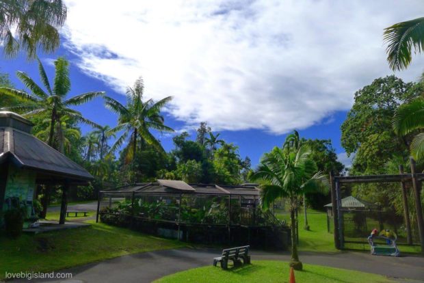 Panaʻewa Rainforest Zoo & Gardens in Hilo (Big Island)