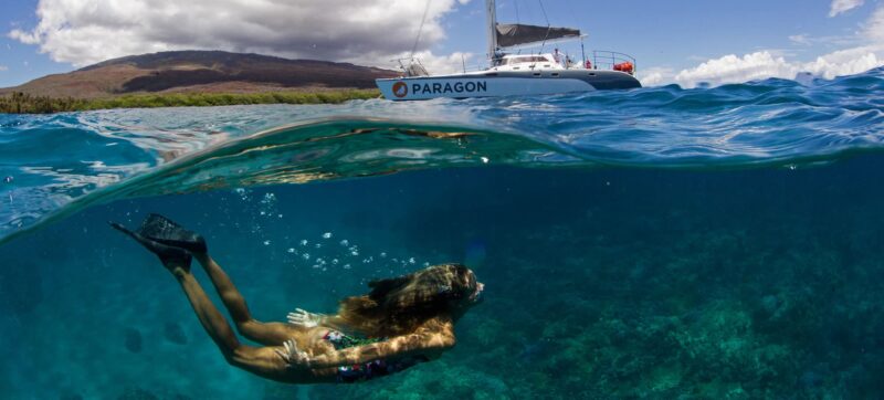 West Maui Snorkeling Tour & Catamaran Sail (4.5 hours, $170)