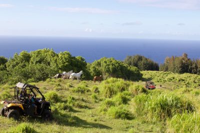Big Island ATV Tours: 6 Operators Compared (2026)